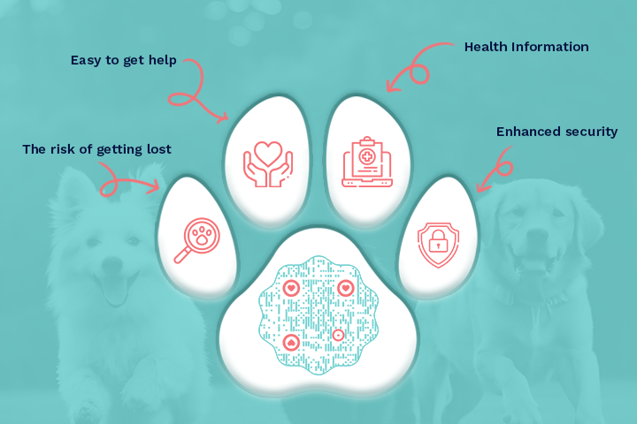 Lost and Found: The Role of QR Code Tags for Dogs