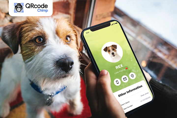 Innovative Ways to Use Dog Name Tags - Free QR Code Generator Online ...
